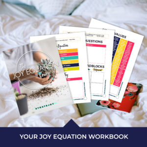 The Joy Equation - Stratejoy